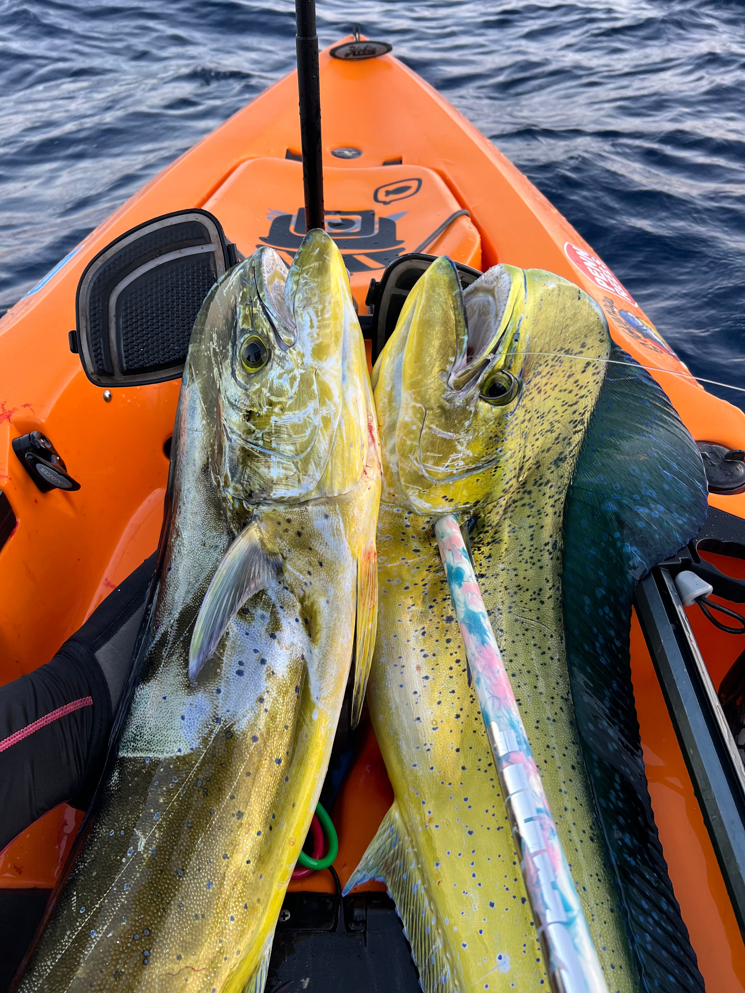 Kayak Fishing – Reef Candy Lures